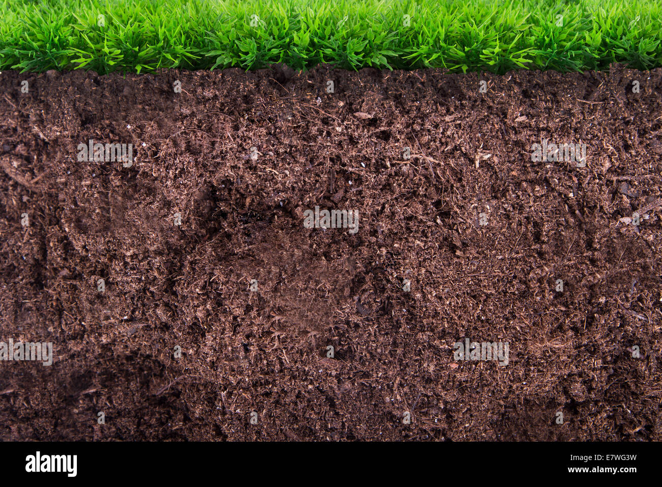 Dirty soil under green grass hi-res stock photography and images - Alamy