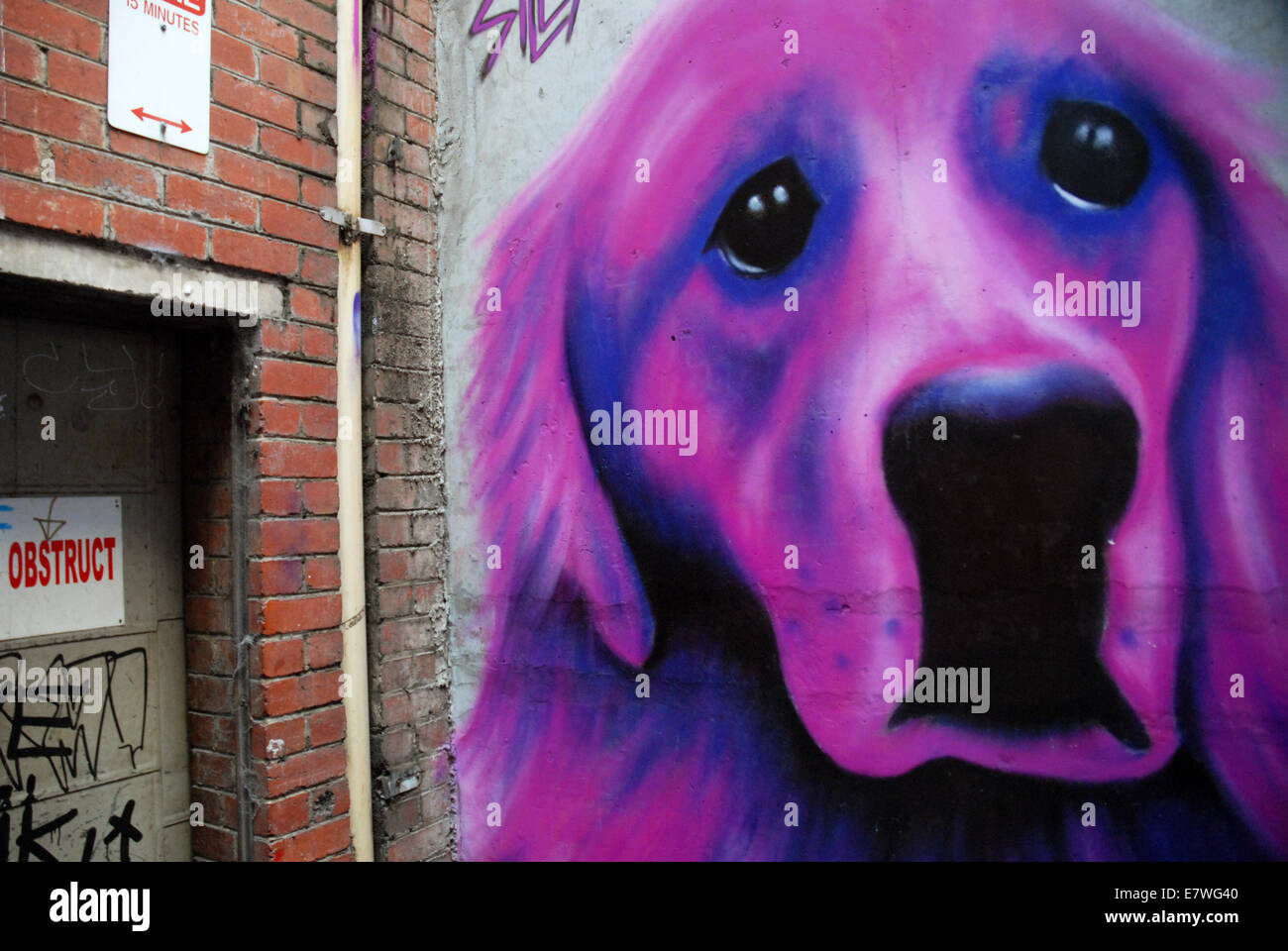 Purple Labrador painted on a wall in Melbourne. Australia Stock Photo ...