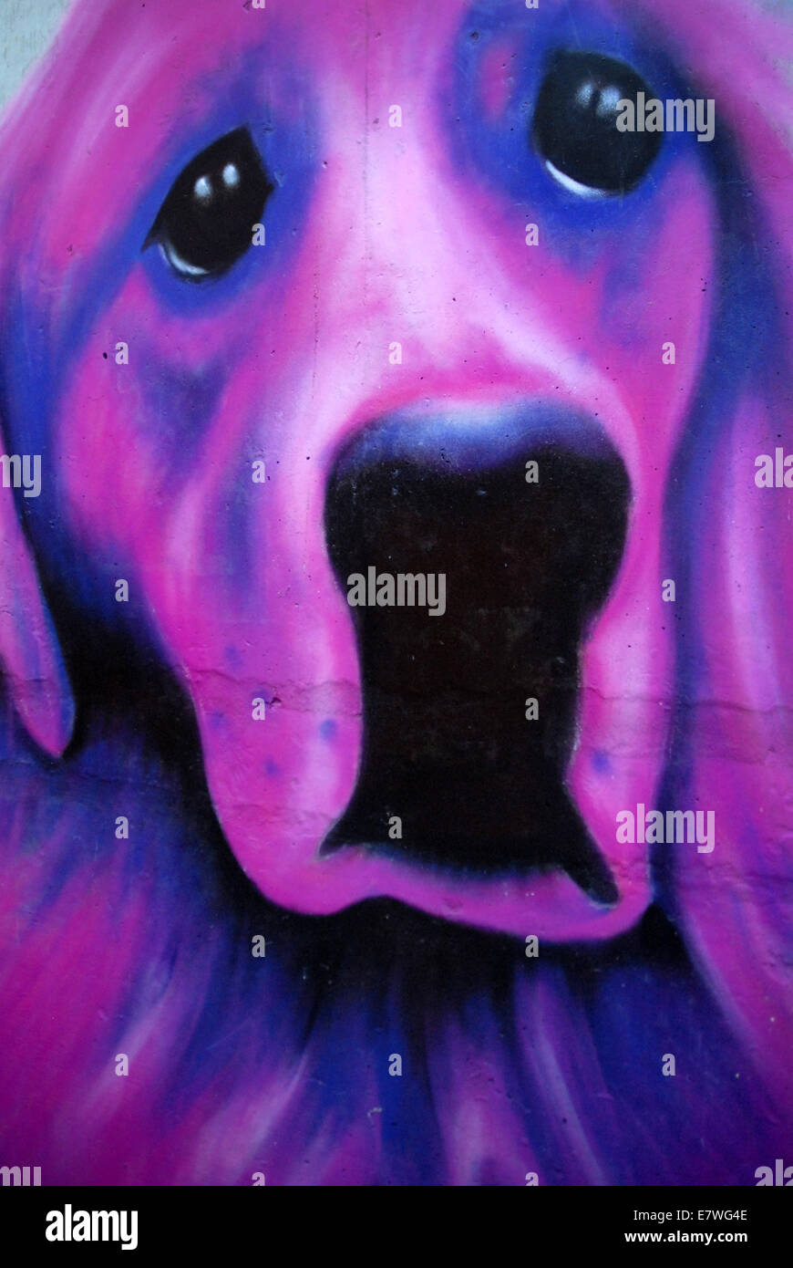 Purple Labrador painted on a wall in Melbourne. Australia Stock Photo ...