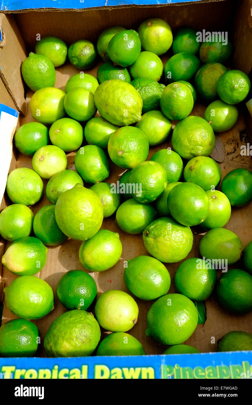 Lime box hi-res stock photography and images - Alamy
