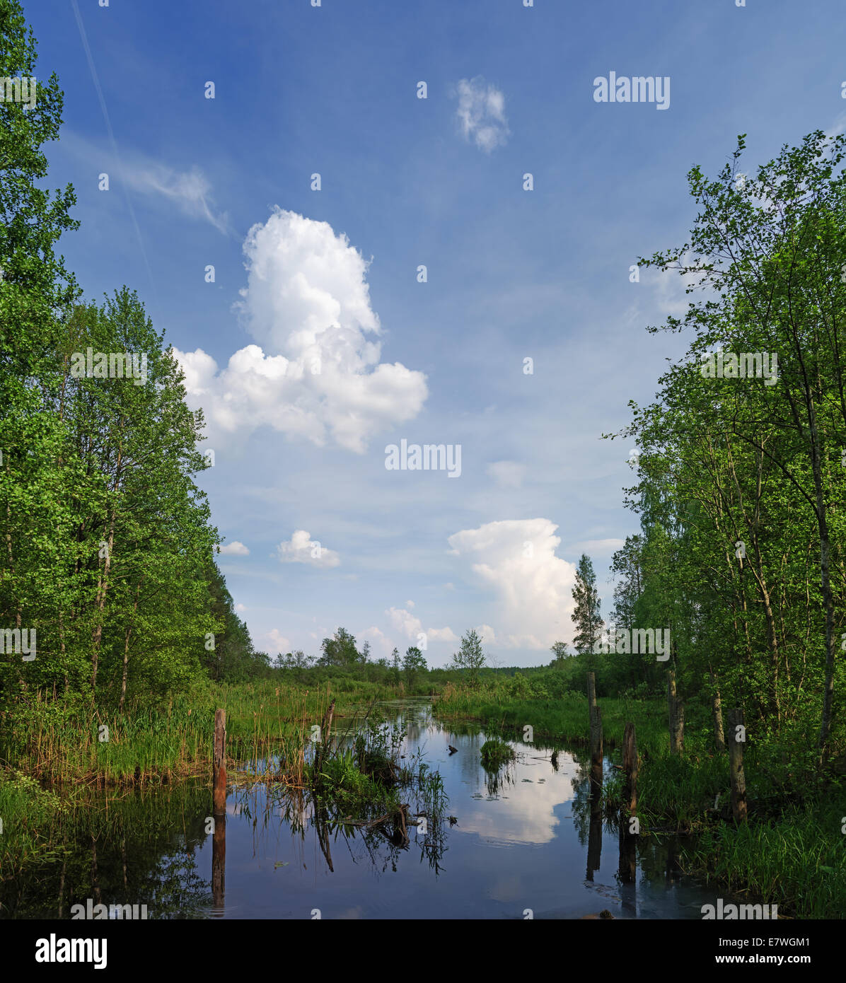 Striped piles of grass hi-res stock photography and images - Alamy