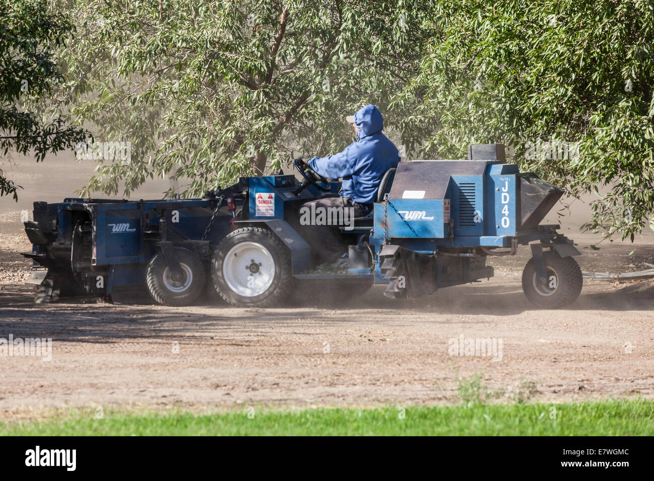 An almond harvesting machine that sweeps all the almonds into the ...