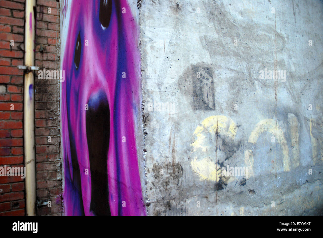 Purple Labrador painted on a wall in Melbourne. Australia Stock Photo ...