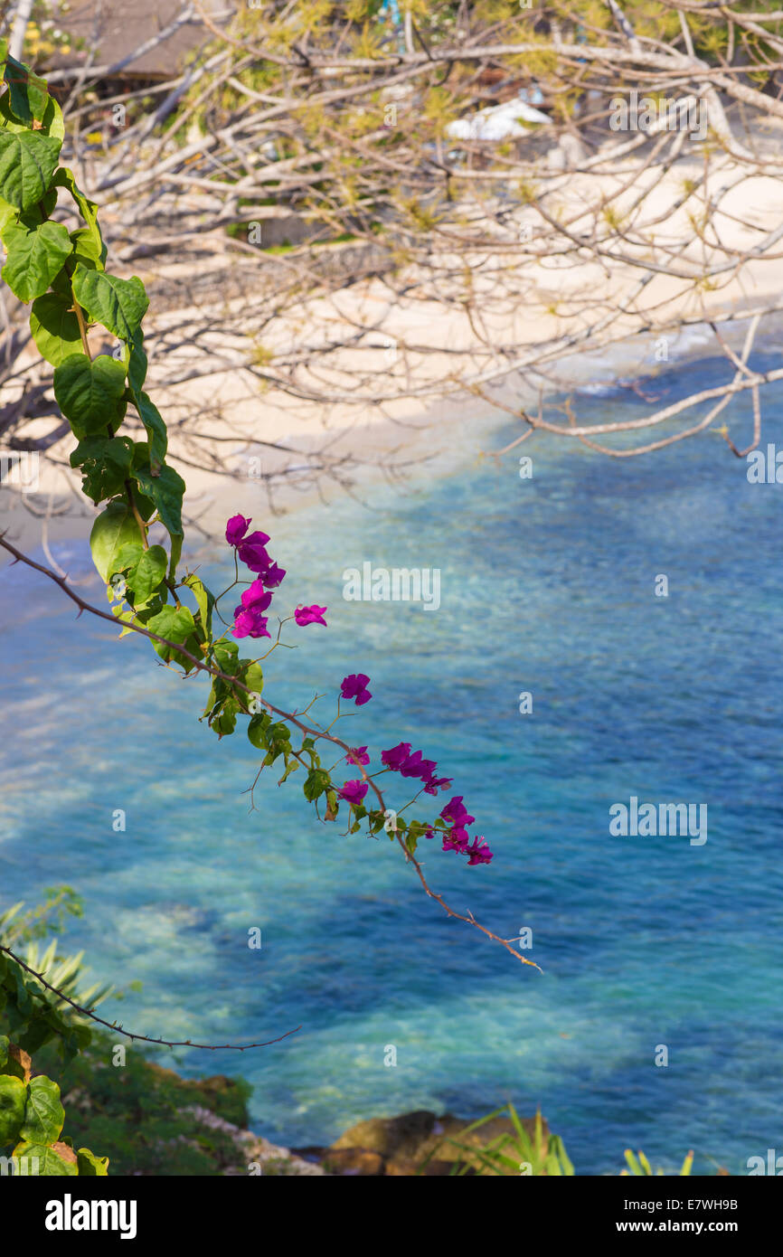 Lembongan island. Indonesia Stock Photo - Alamy