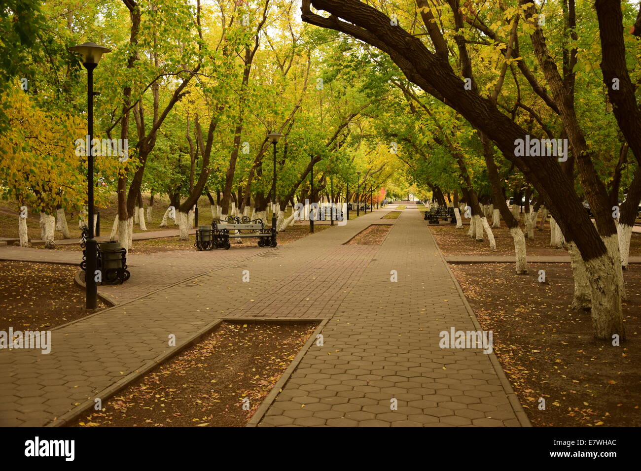 A shady alley in the park Stock Photo - Alamy