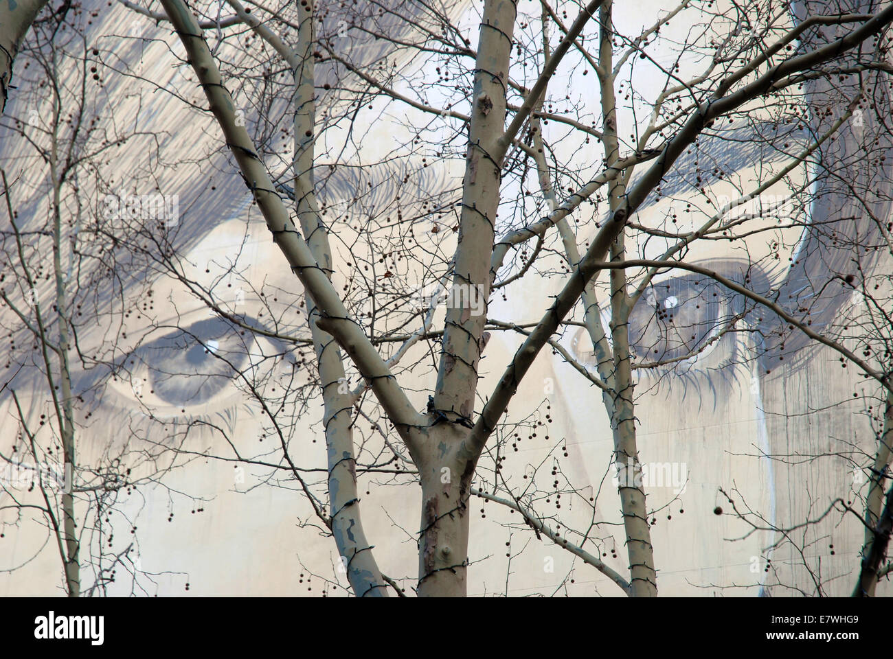 Australia head mural hi-res stock photography and images - Alamy