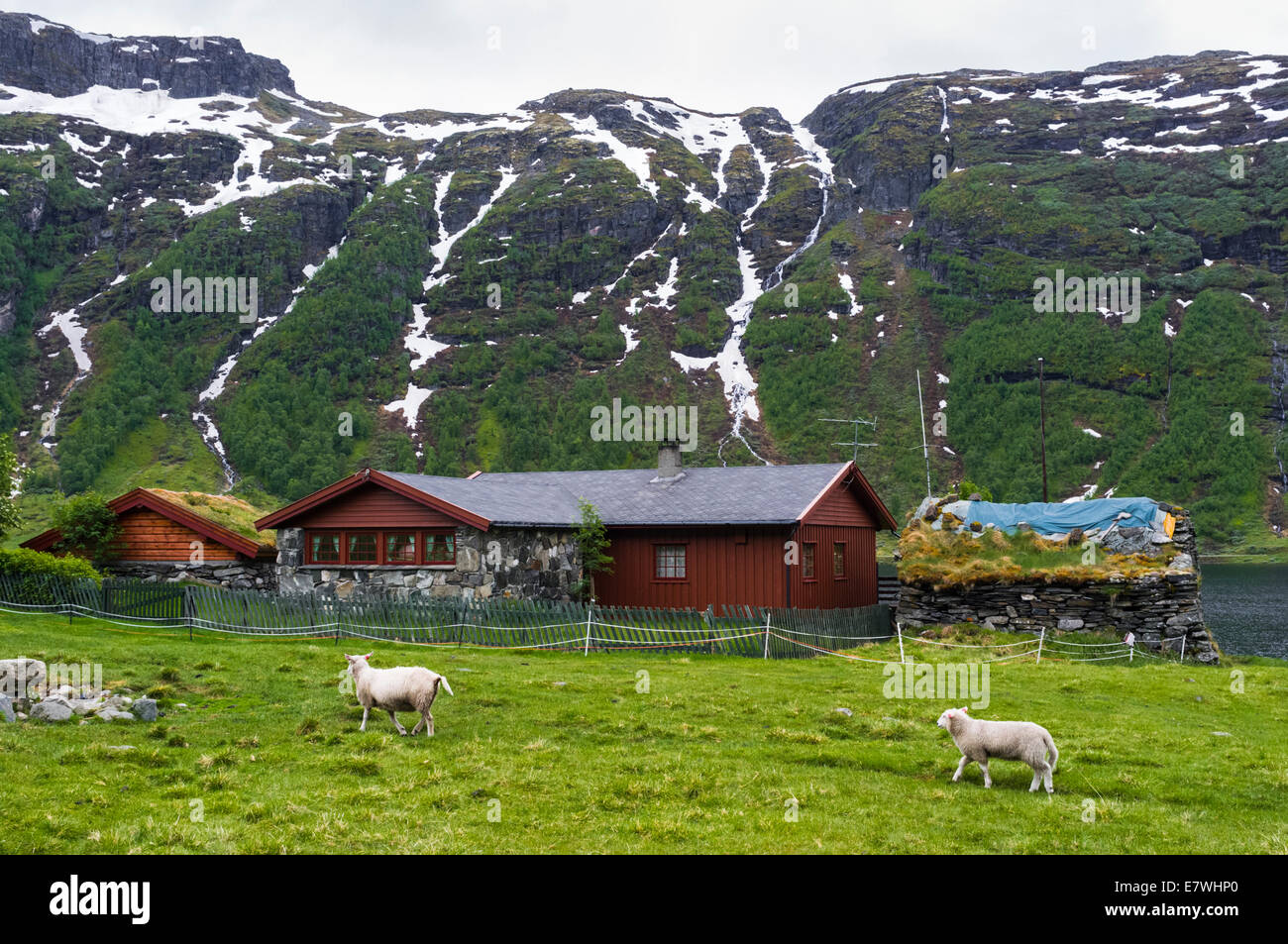 Mountain farm near Osterbo. Aurlandsdalen valley, Norway Stock Photo ...