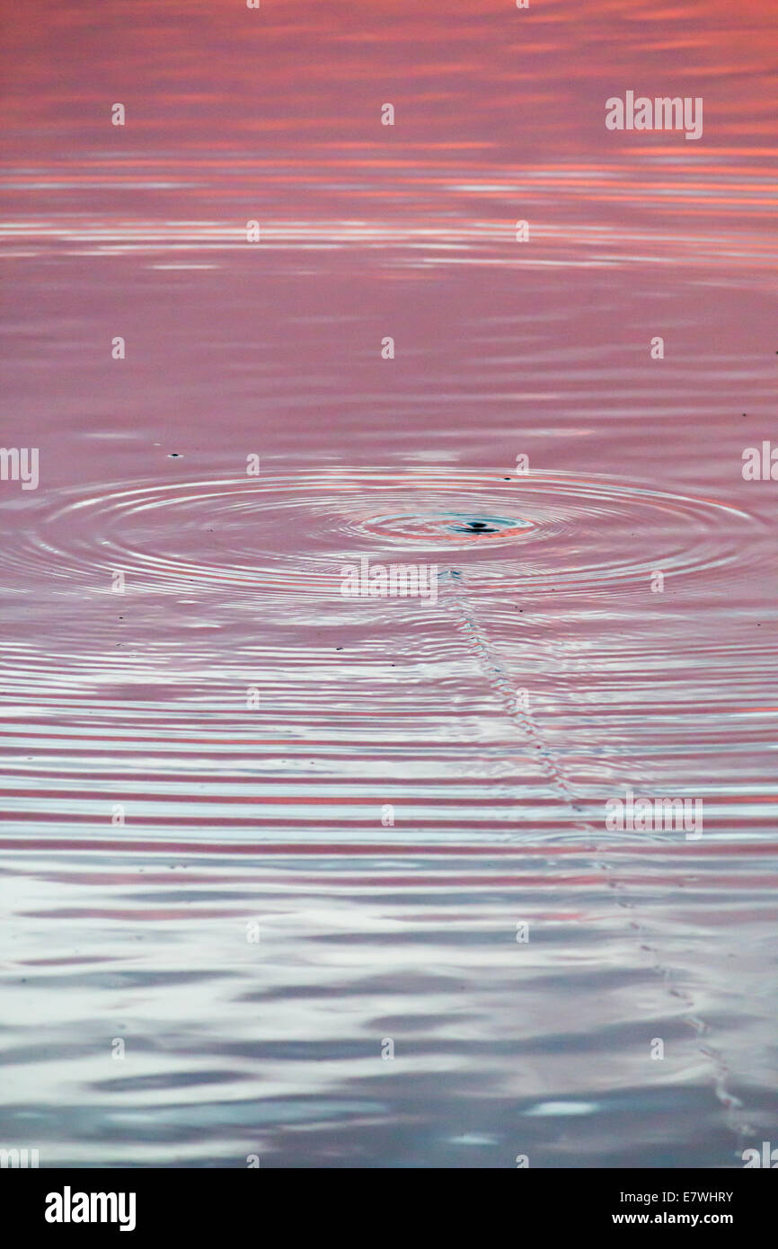 Lake ripples on the water Stock Photo - Alamy