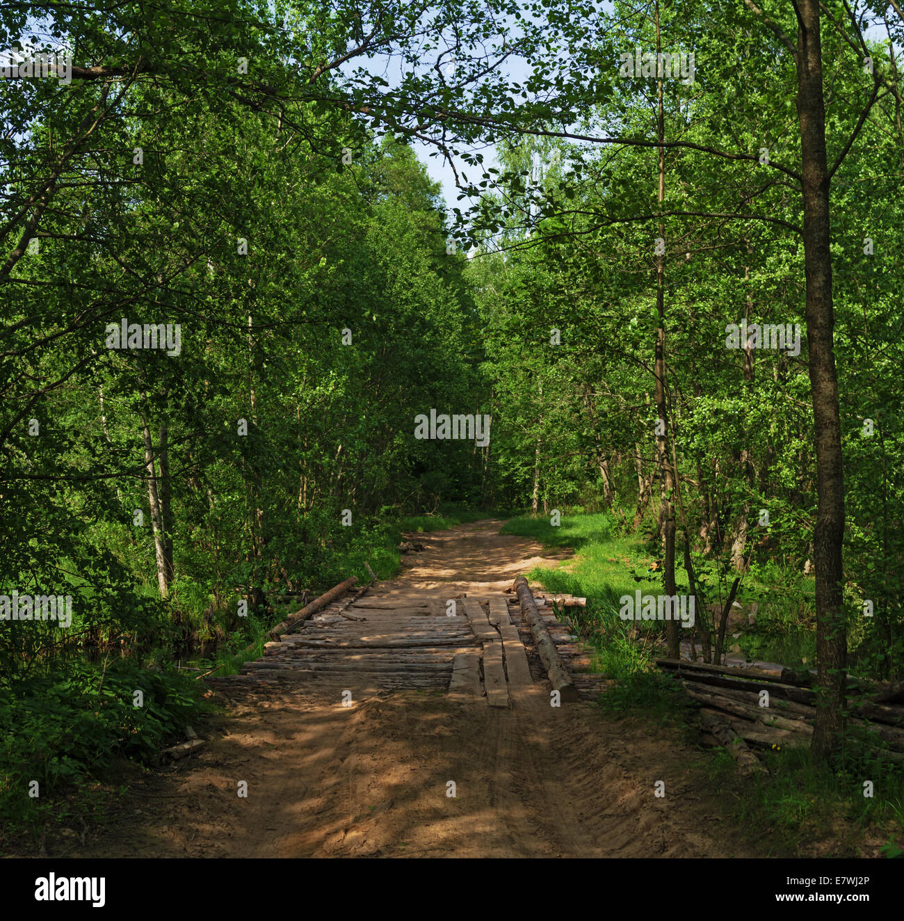 Wooden bridge through small forest river Stock Photo - Alamy
