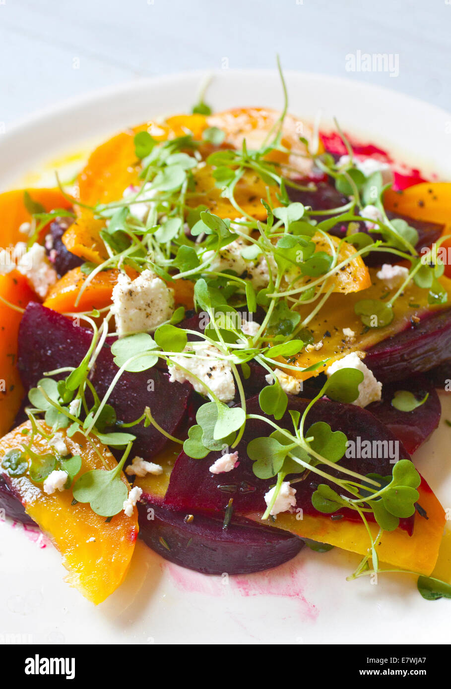 Colorful beet salad plated on white plate and backdrop. Yellow beets ...