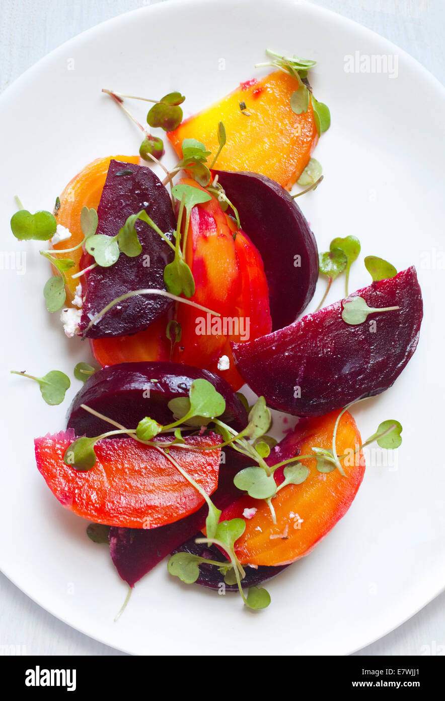 Colorful beet salad plated on white plate and backdrop Stock Photo - Alamy