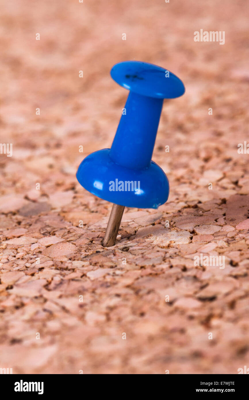 Single, blue push pin on cork bulletin board Stock Photo - Alamy