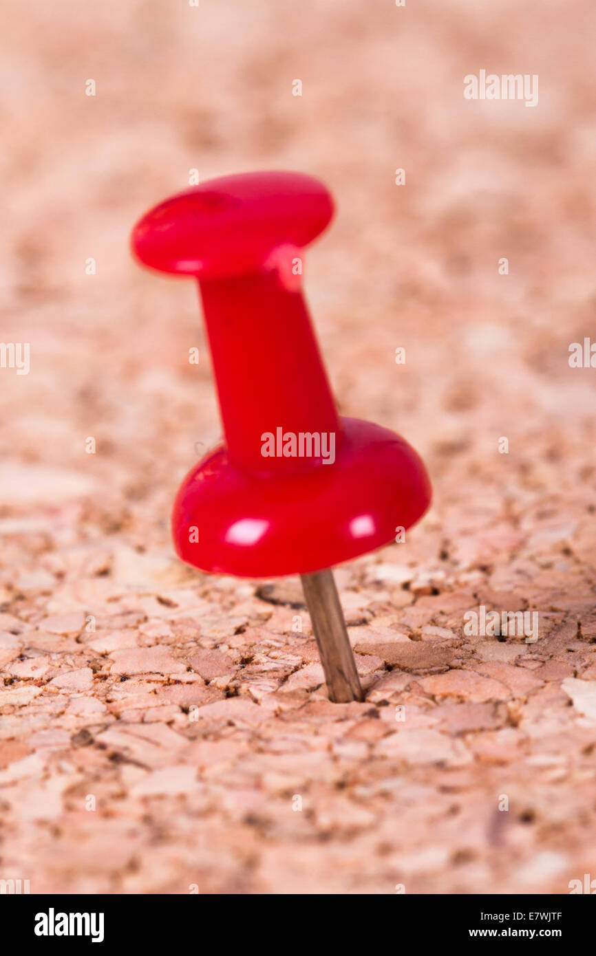 Single, red push pin on cork bulletin board Stock Photo - Alamy