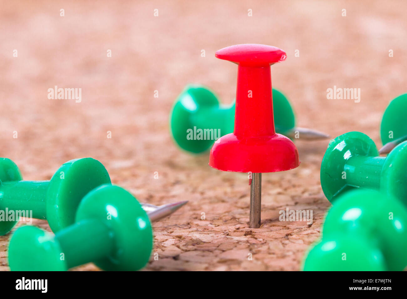 Red push pin standing out on cork bulletin board Stock Photo - Alamy