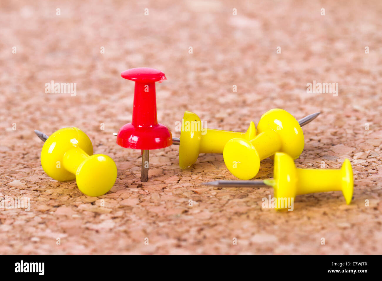 Red push pin standing out on cork bulletin board Stock Photo - Alamy
