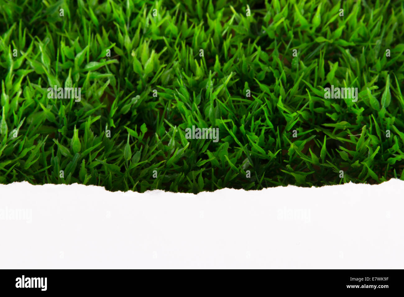 Torn paper with grass hi-res stock photography and images - Alamy