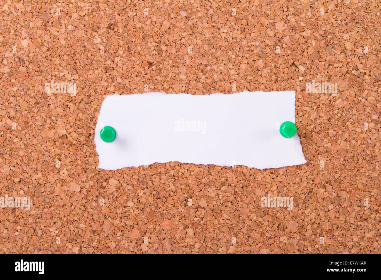 White, blank torn paper with green push pins on cork bulletin board ...