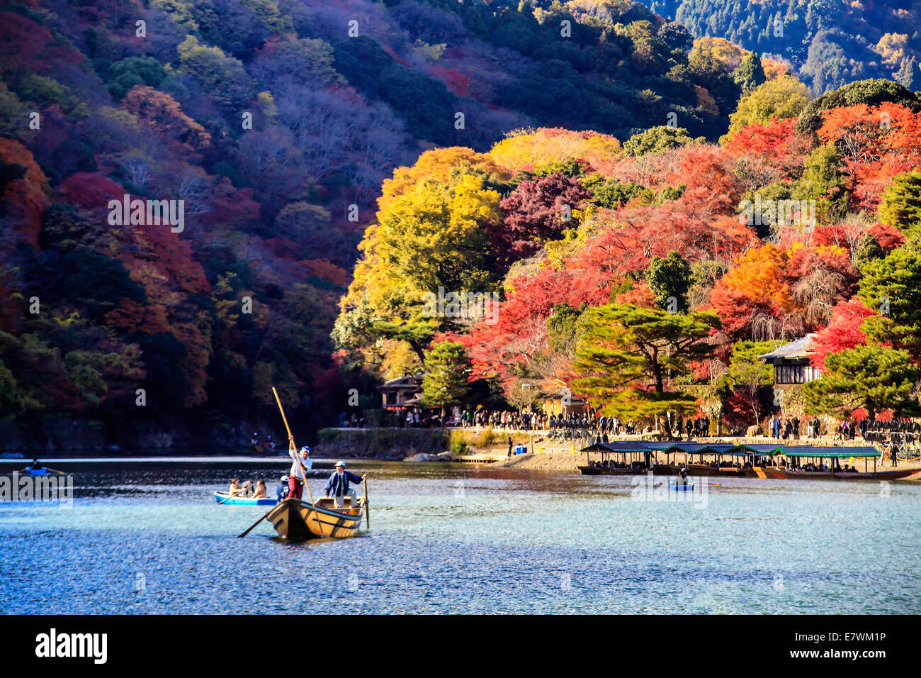 Kyoto, Japan - Nov 26, 2013 : red japanese maple autumn fall , momiji tree in kyoto japan Stock ...