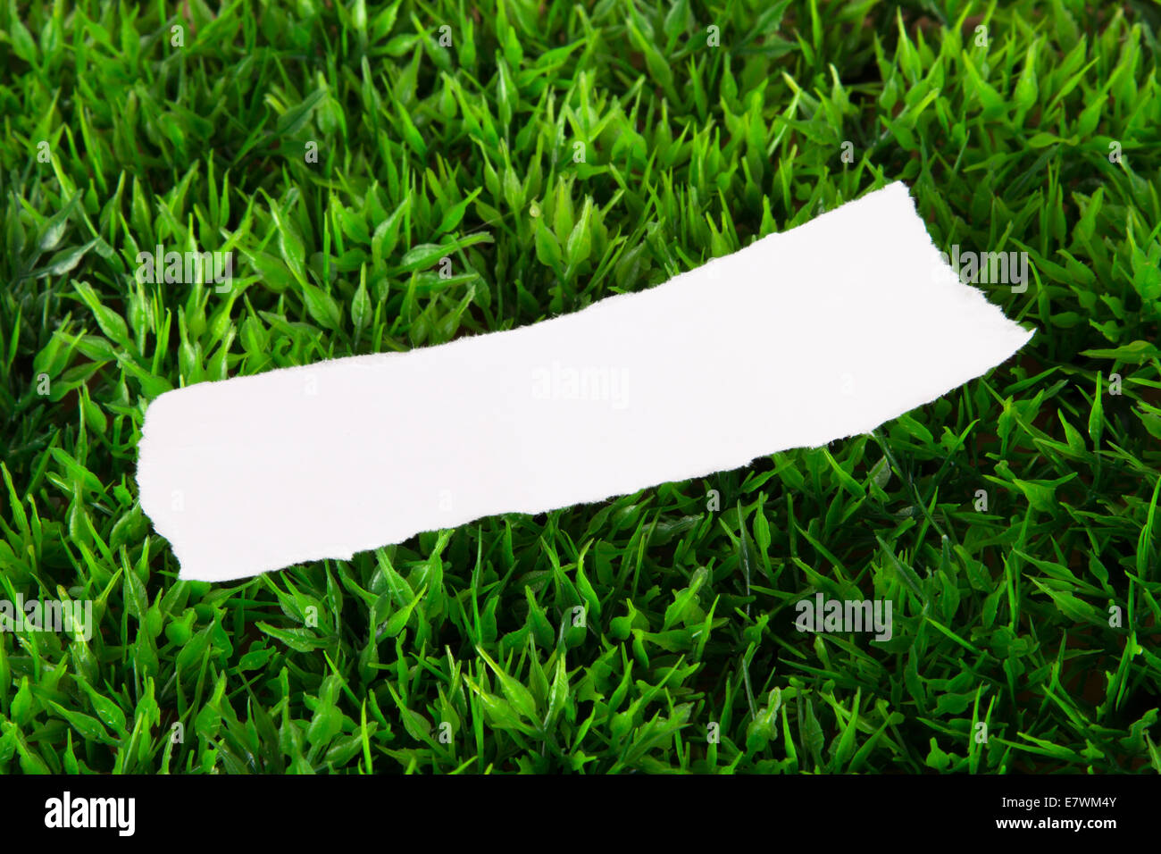 White torn piece of paper on grass Stock Photo - Alamy