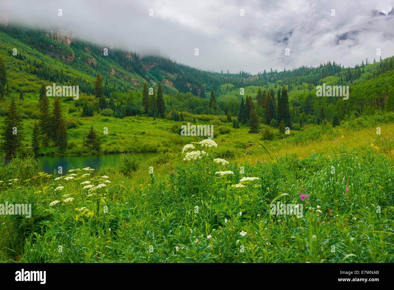 Summer mist hi-res stock photography and images - Alamy