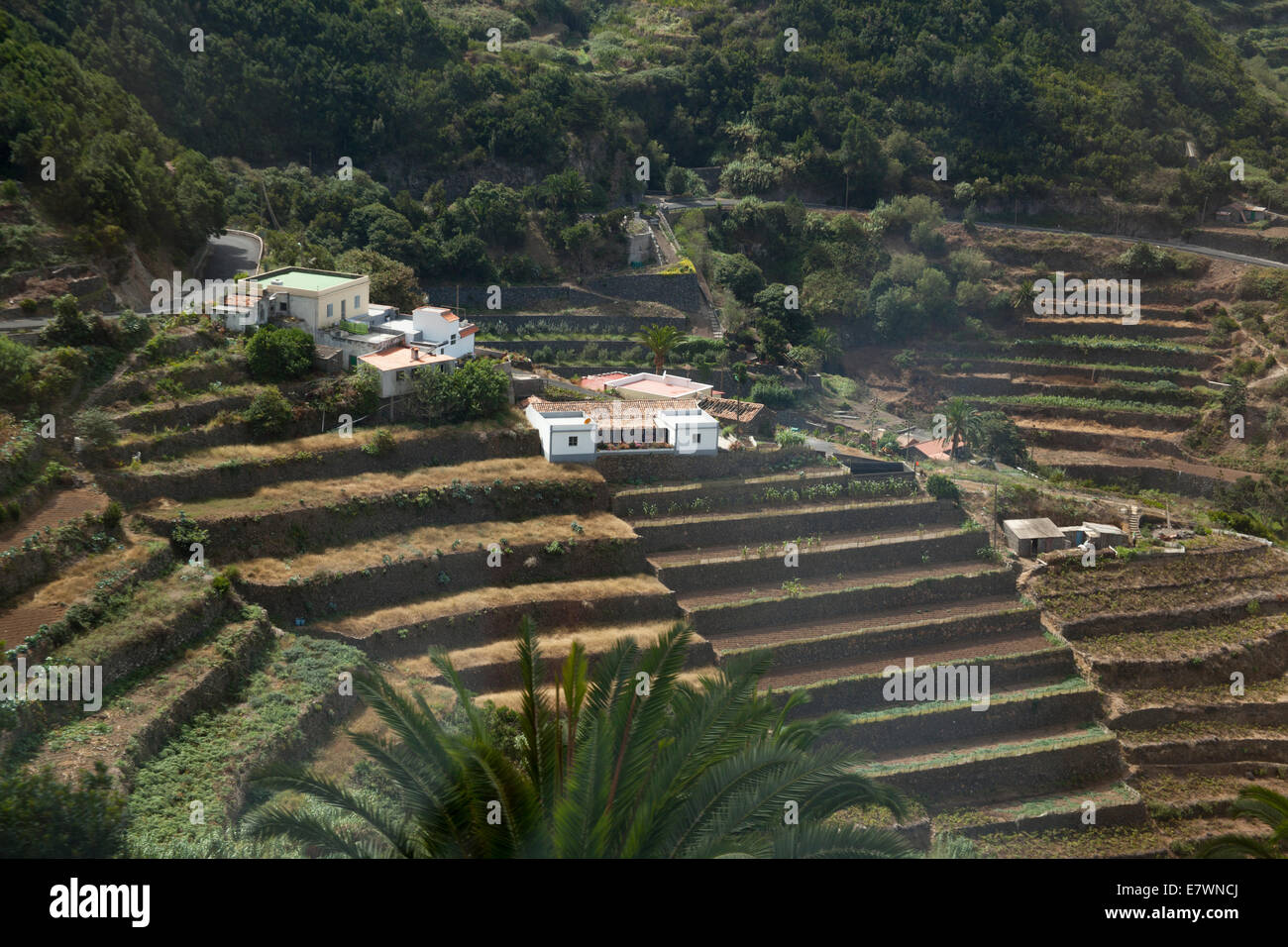 Terracing hi-res stock photography and images - Alamy