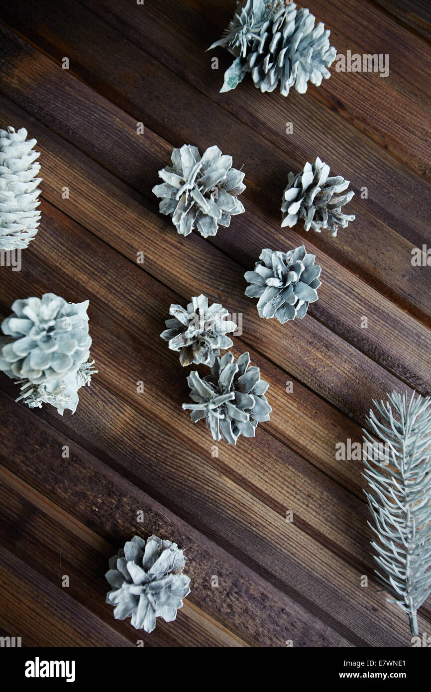 Silver cones hi-res stock photography and images - Alamy