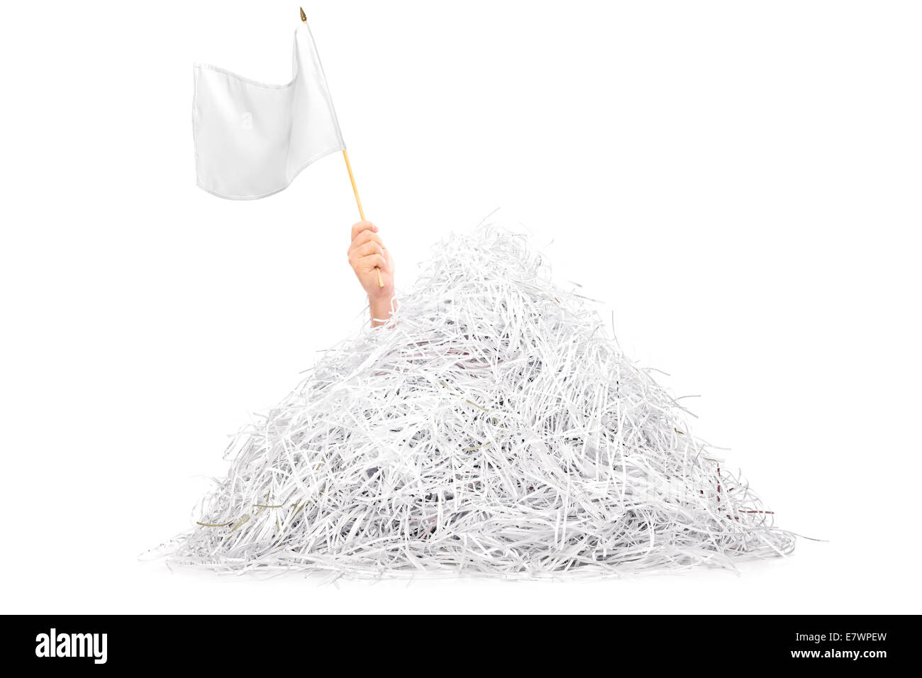 Hand waving white flag from pile of shredded paper isolated on white ...