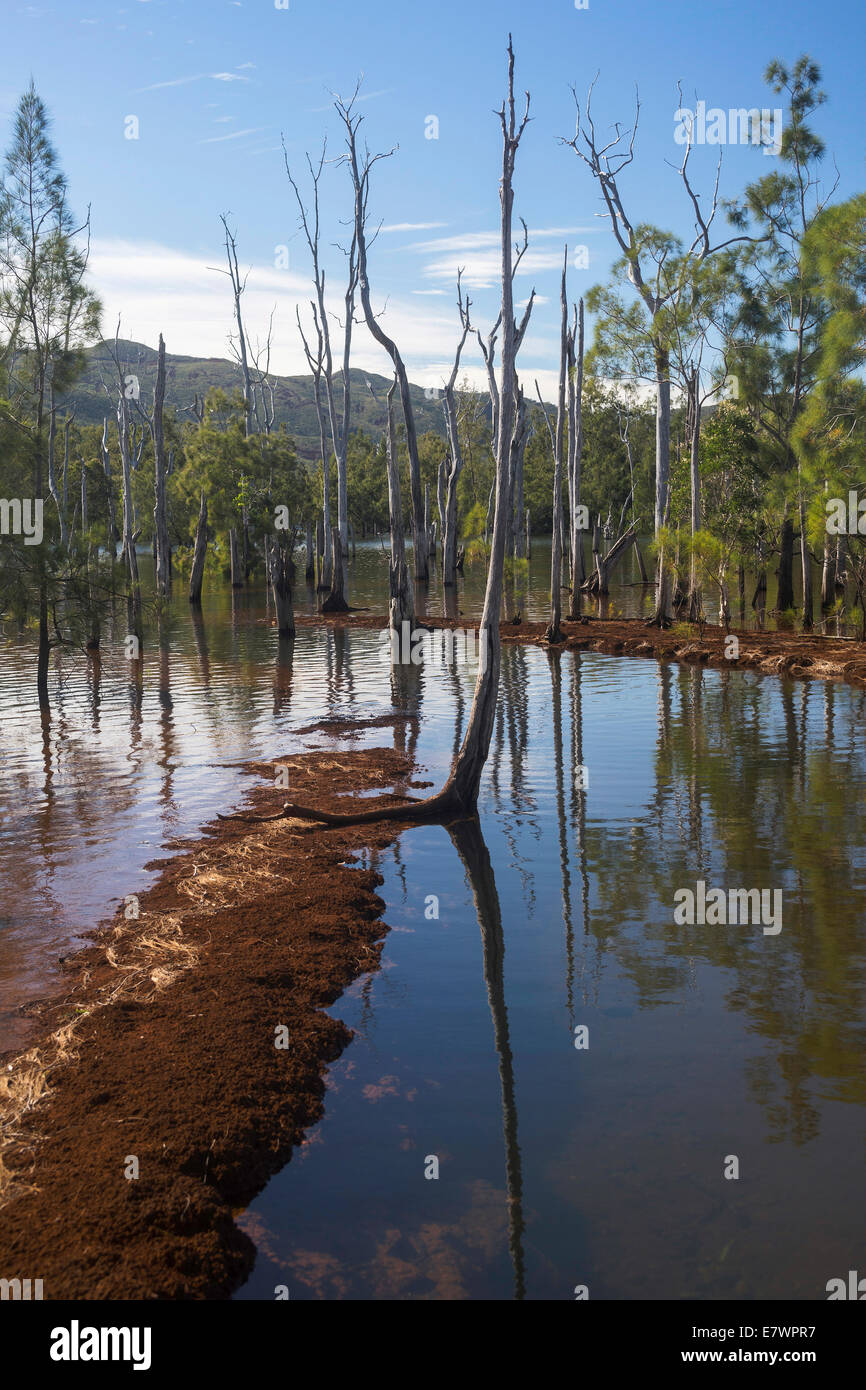 Yate lake hi-res stock photography and images - Alamy