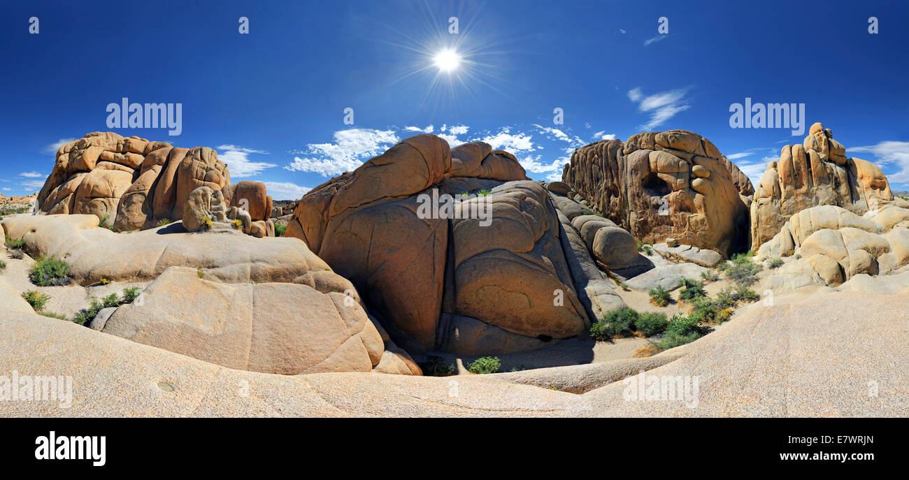 Jumbo tree hi-res stock photography and images - Alamy