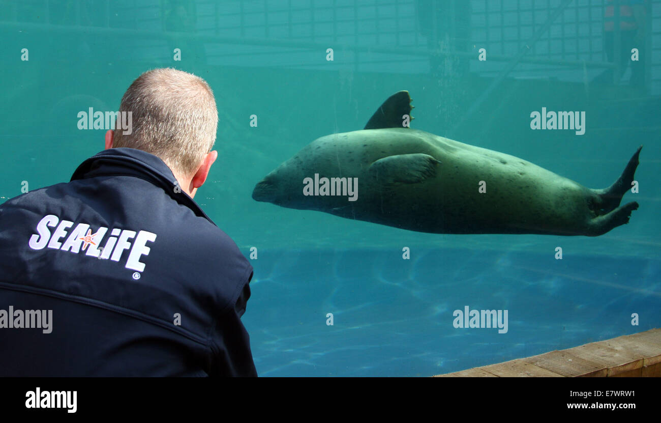Hunstanton sea life centre hi-res stock photography and images - Alamy