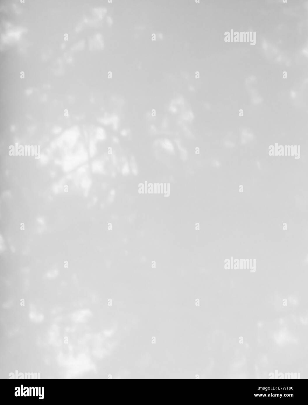 Nature background gray. Subtle texture pattern of tree foliage and ...