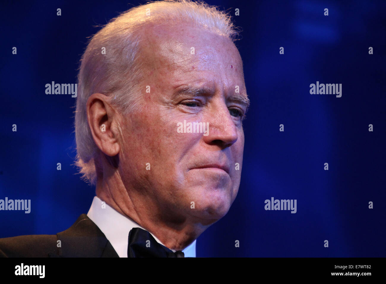 Human Rights Campaign Los Angeles Gala Dinner Inside Featuring Vice
