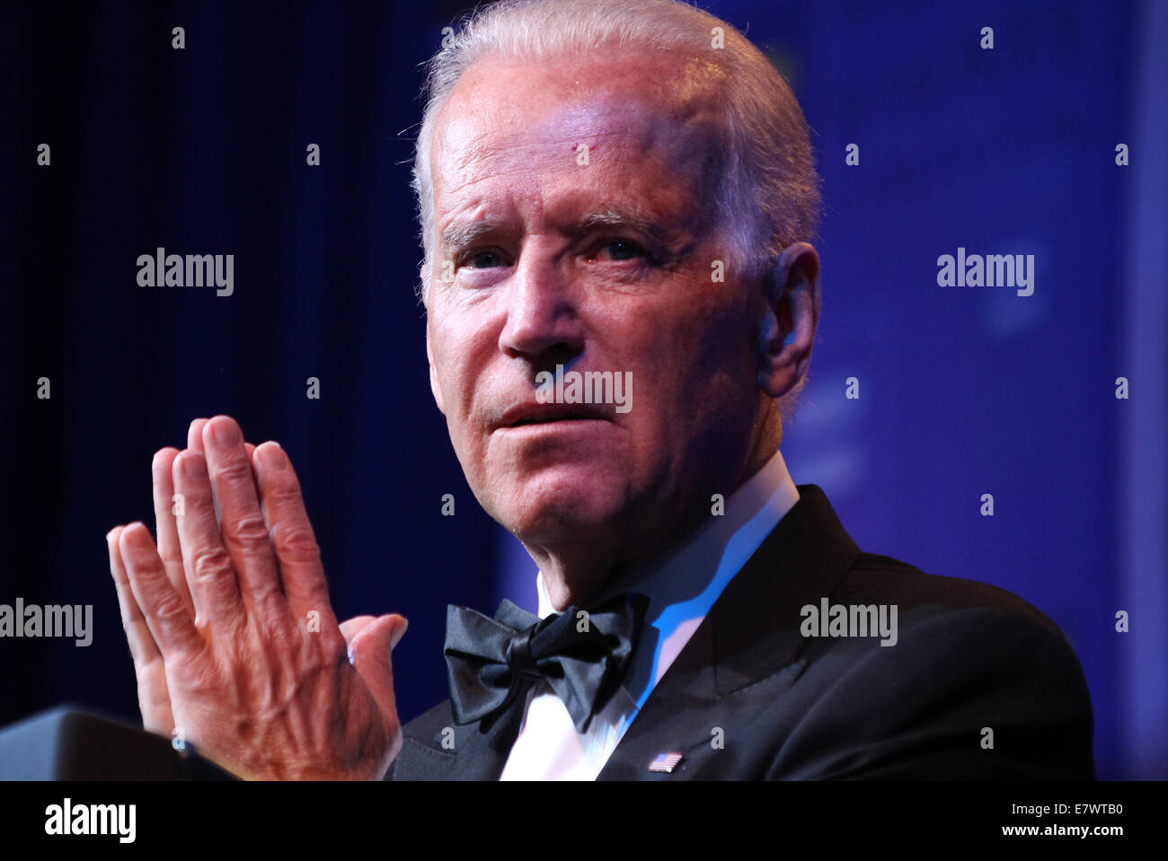 Human Rights Campaign Los Angeles Gala Dinner Inside Featuring Vice
