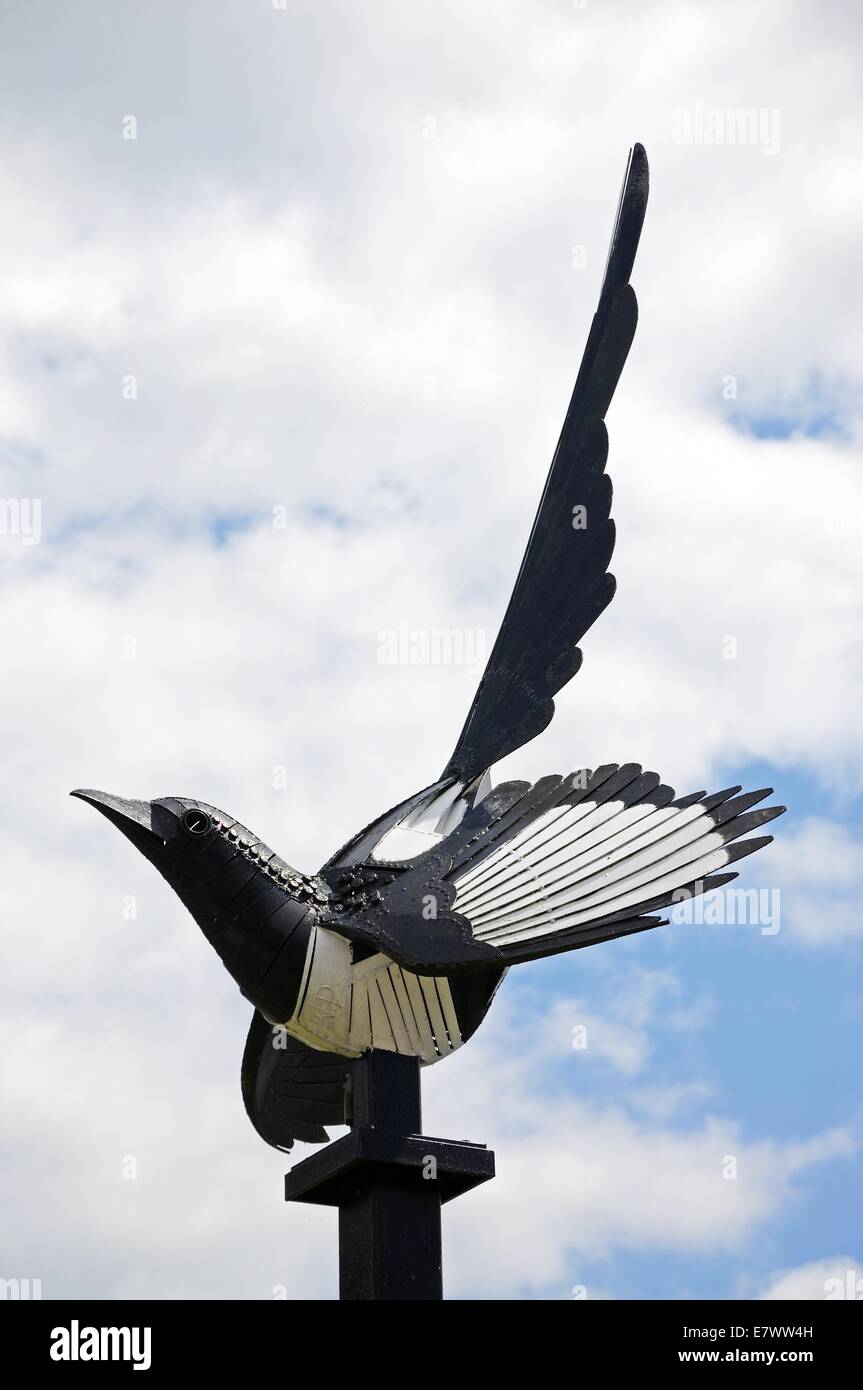 Pitch black bird hi-res stock photography and images - Alamy