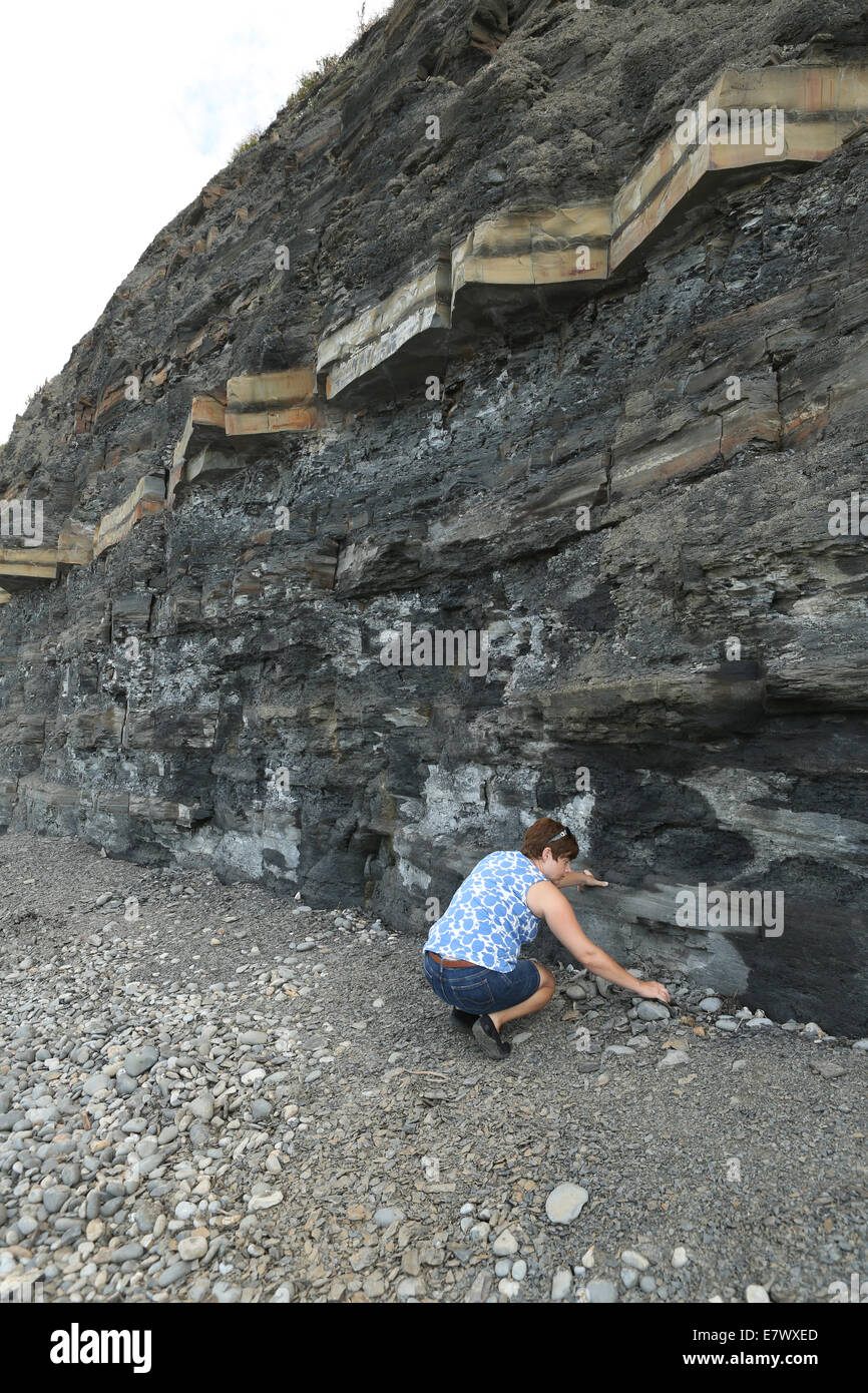 Mary anning hi-res stock photography and images - Alamy