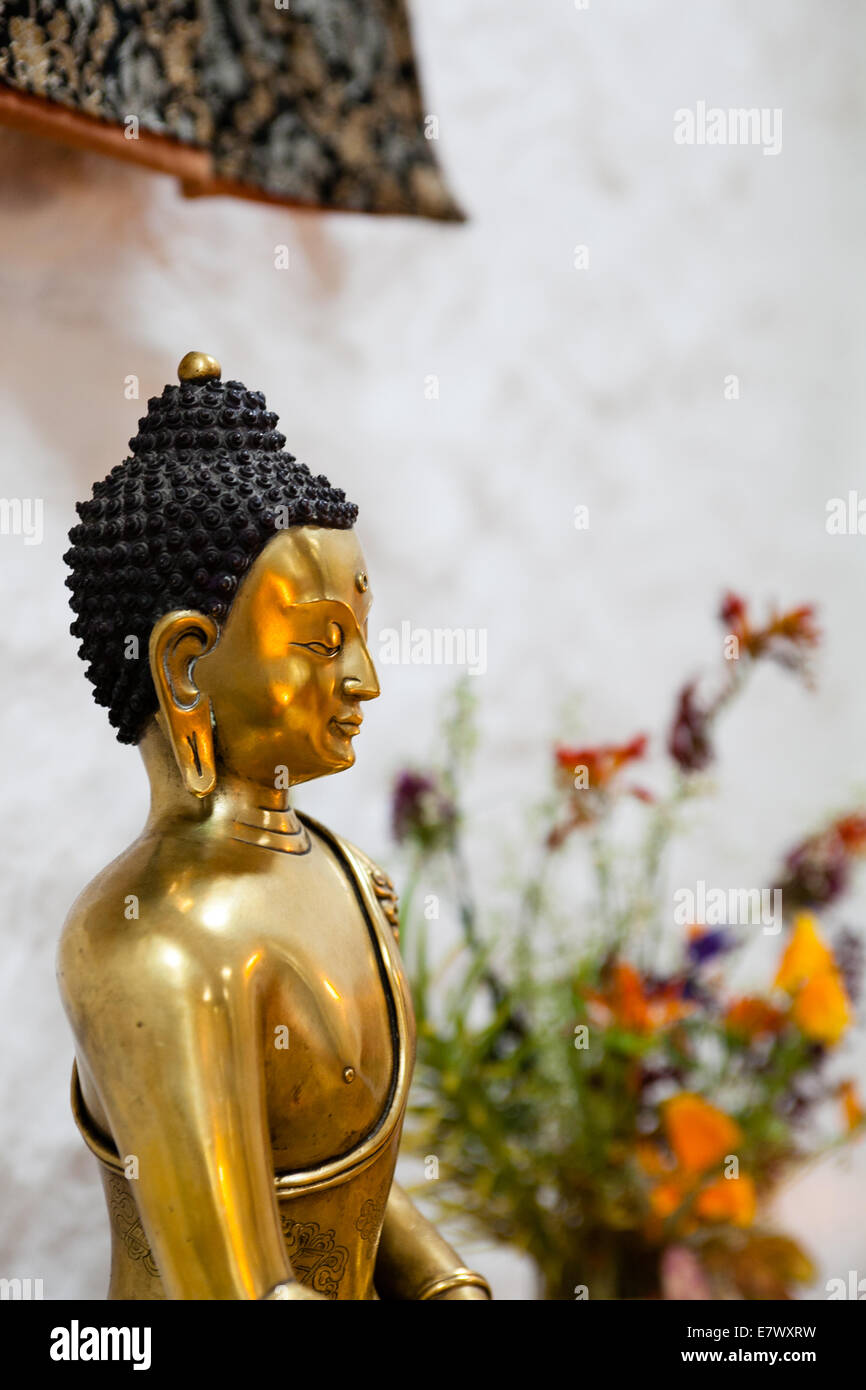 Buddha sits in meditation - Buddhist shrine, Buddhism Stock Photo - Alamy