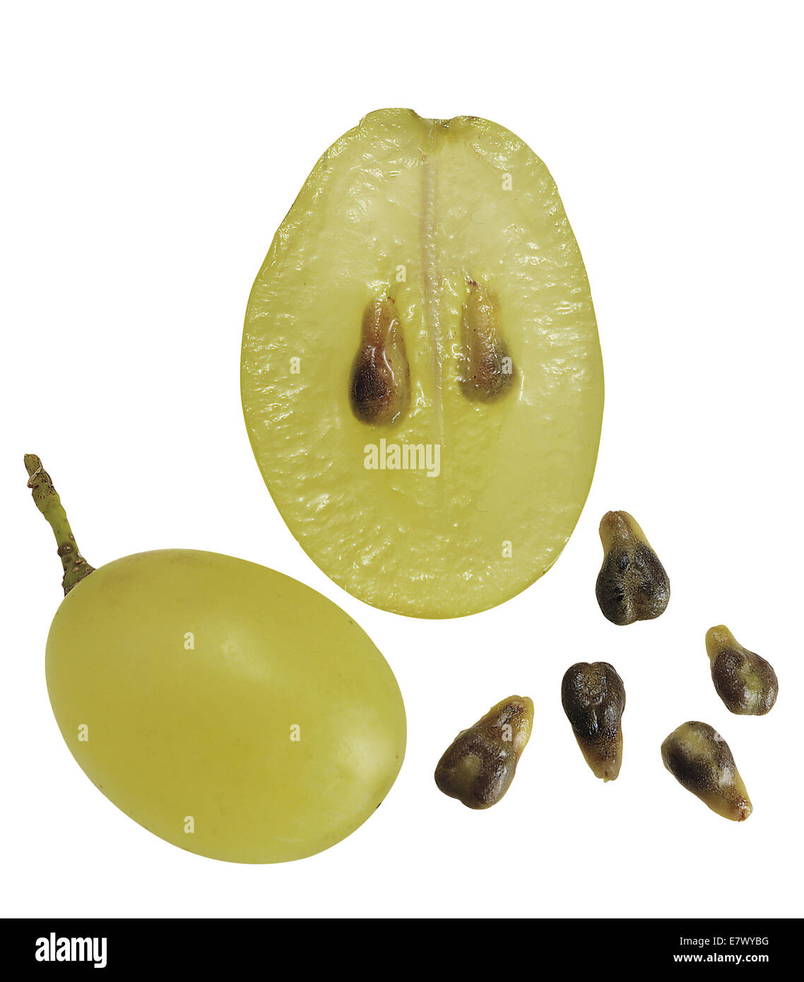 Section image hi-res stock photography and images - Alamy