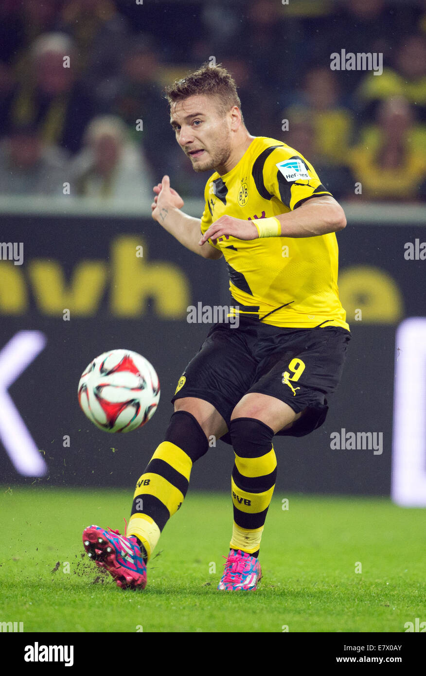 Dortmund, Germany. 24th September, 2014. Dortmund's Ciro Immobile ...
