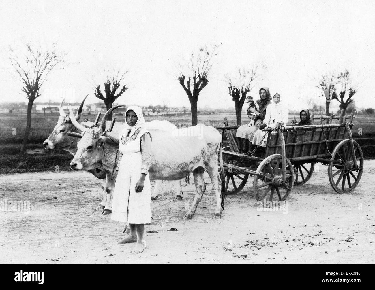 OX TEAM CART Stock Photo - Alamy