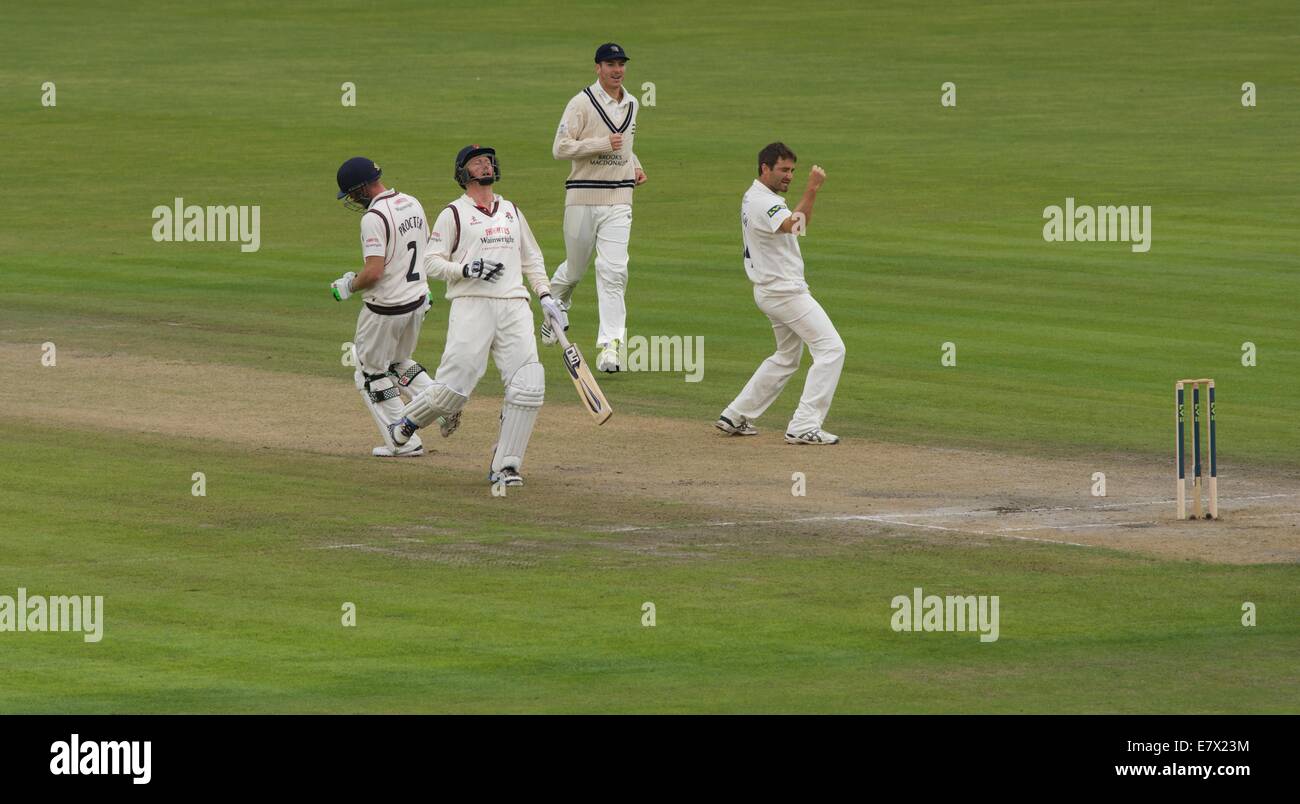 Sport cricket action glen chapple hi-res stock photography and images ...