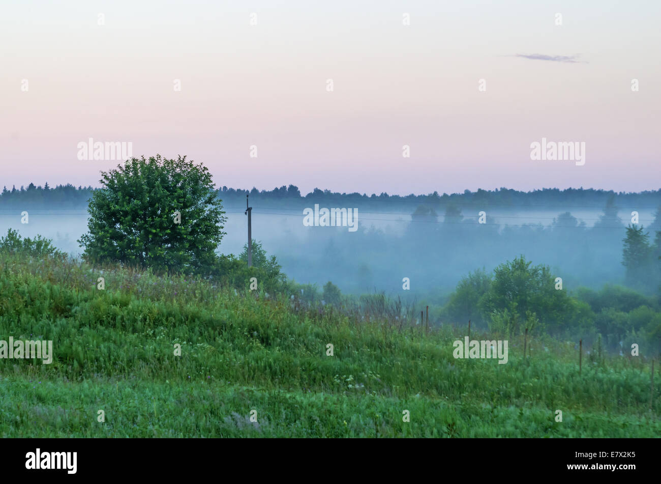 Sunrise fog over field and bushes Stock Photo - Alamy