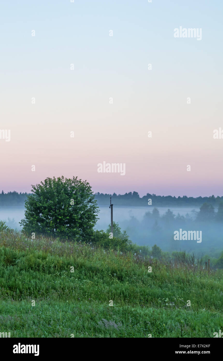 Sunrise fog over field and bushes Stock Photo - Alamy