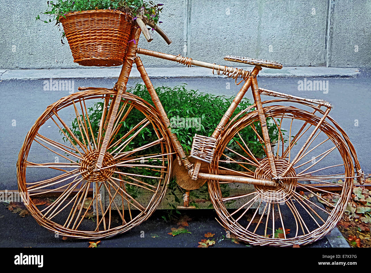 Decorative bike made from twigs and wicker, sitting in the street Stock ...