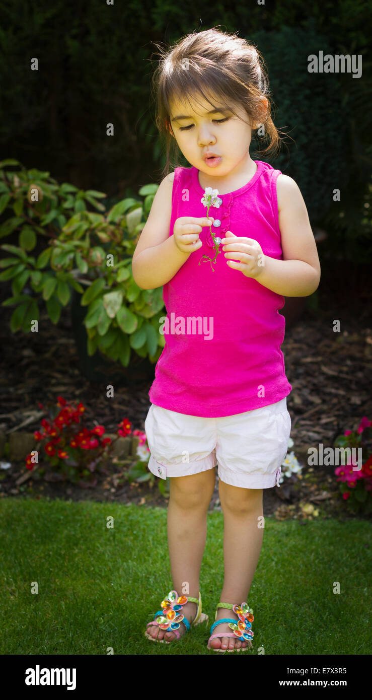 A little European Chinese mixed race girl looking at a flower in a ...