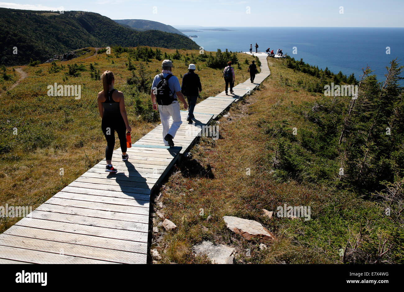 The Skyline Trail, Cape Breton Highlands National Park, Nova Scotia, Canada Stock Photo - Alamy