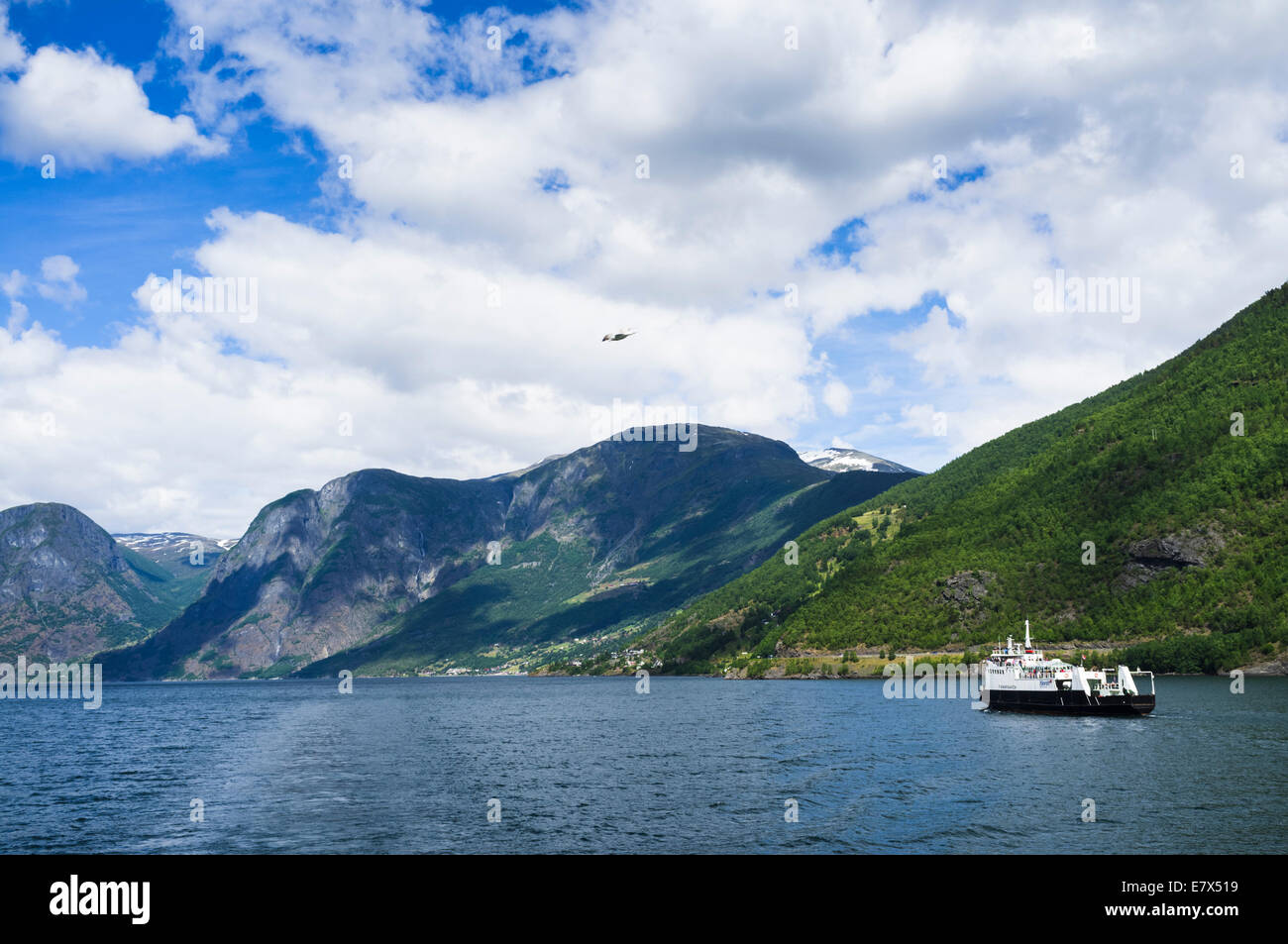 Aurlandsfjorden. Ferry from Aurland to Flam, Norway Stock Photo - Alamy
