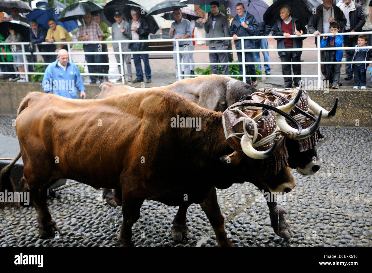 Dragging stones hi-res stock photography and images - Alamy