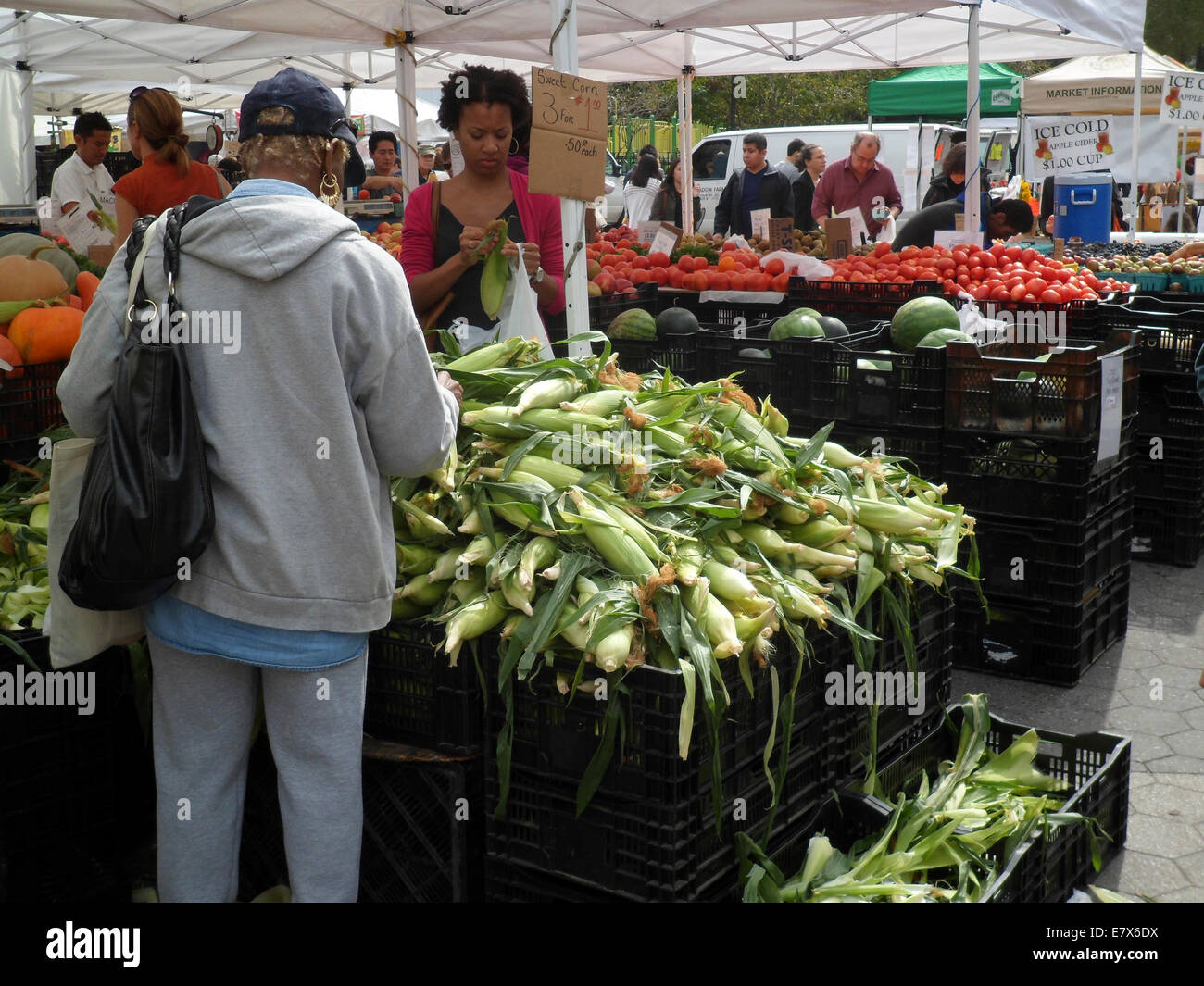Corn sales hi-res stock photography and images - Alamy