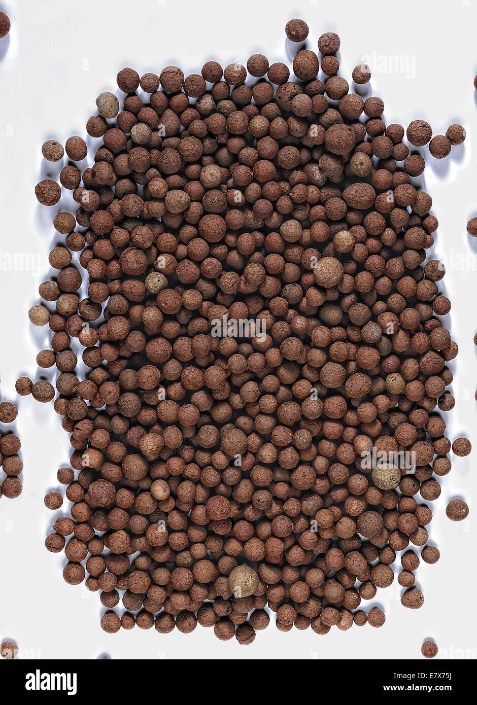 Porous clay hi-res stock photography and images - Alamy