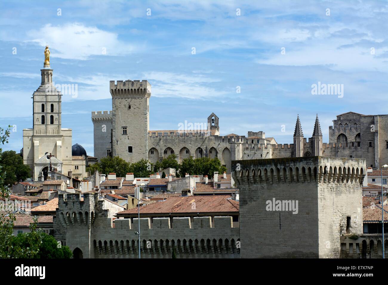 Avignon, Notre-Dame-des Doms cathedral and Palais des Papes. UNESCO ...